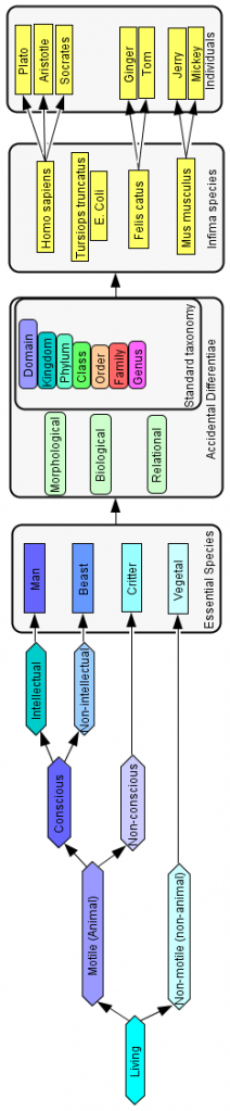Division And Classification A Lecture In Logic OurHappySchool